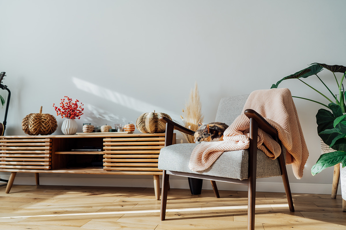 How to make your home cosy for Autumn - Carrickmines Park